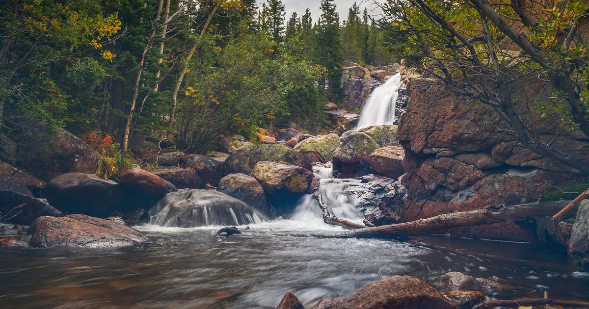 A Guide to the Alberta Falls Hike | Trail Report and GPS