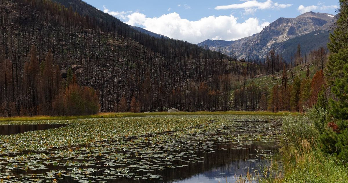 A Guide to the Cub Lake Trail, Colorado