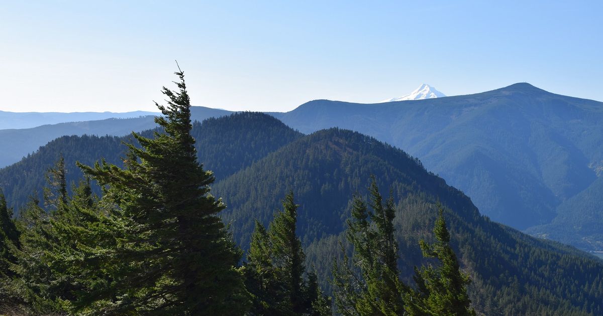 Hiking Augspurger Mountain Trail, Columbia River Gorge