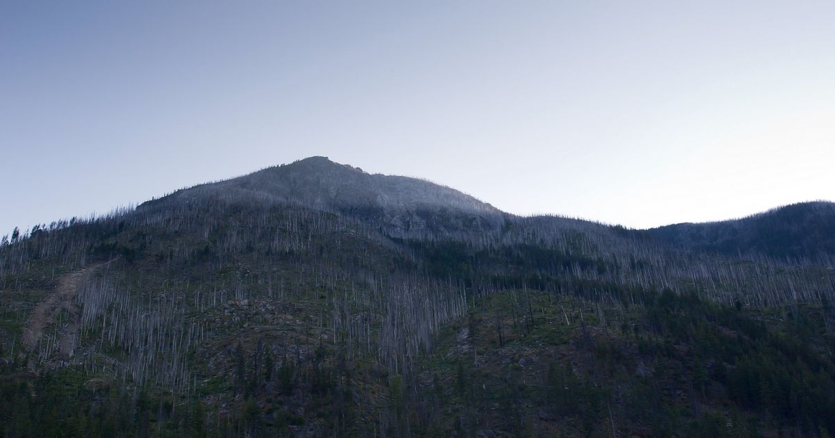 The Quick, Scenic, and Windy Hike on Windy Ridge Trail