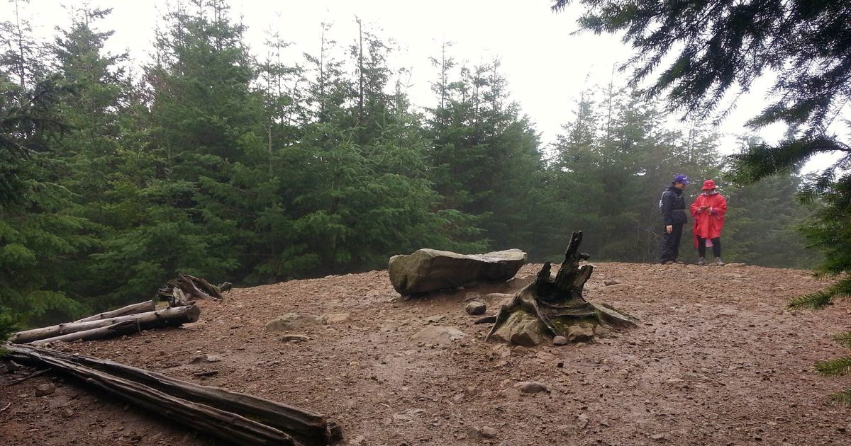 West Tiger Mountain Summit via Cable Line Loop Trail