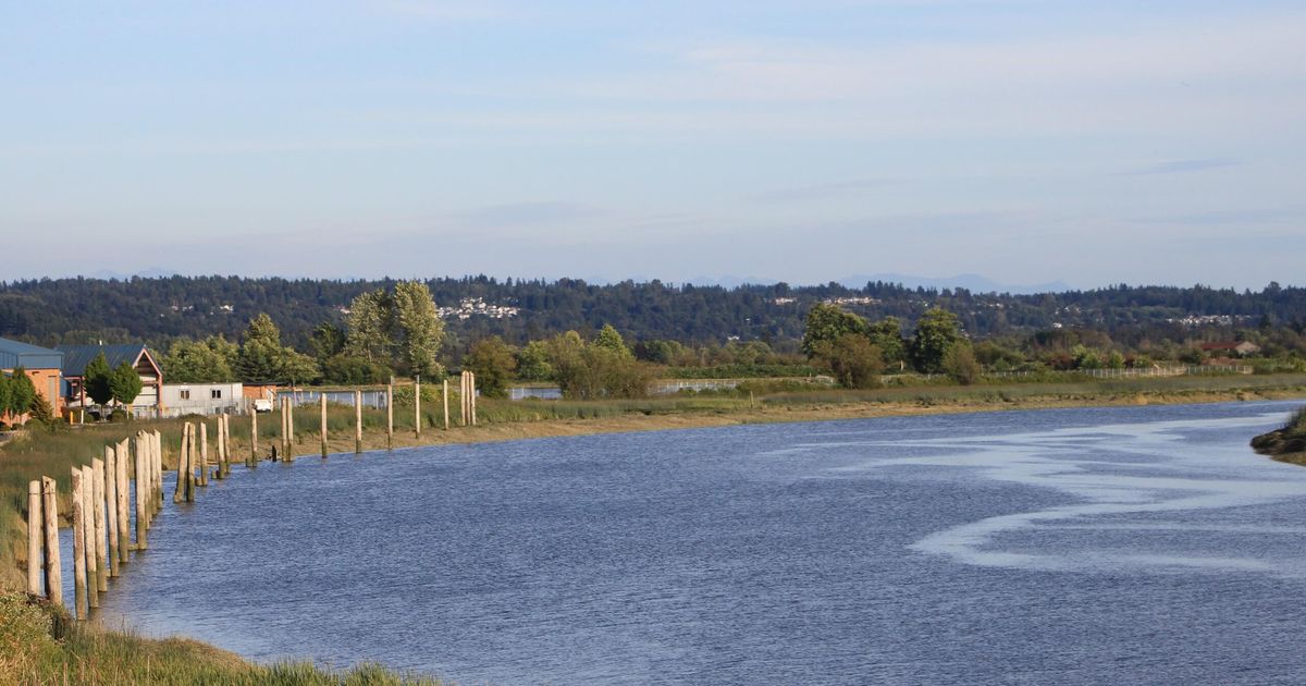 Route Guide to the Ebey Slough Trail