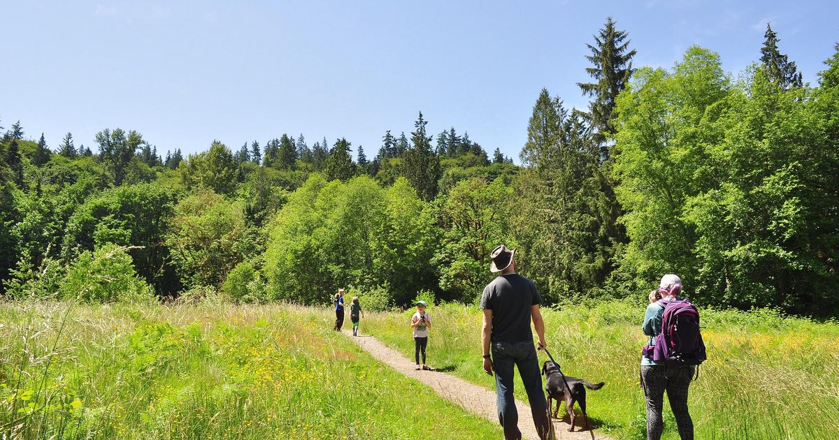 Walking Route: Evans Creek Preserve Trail from Sahalee Way
