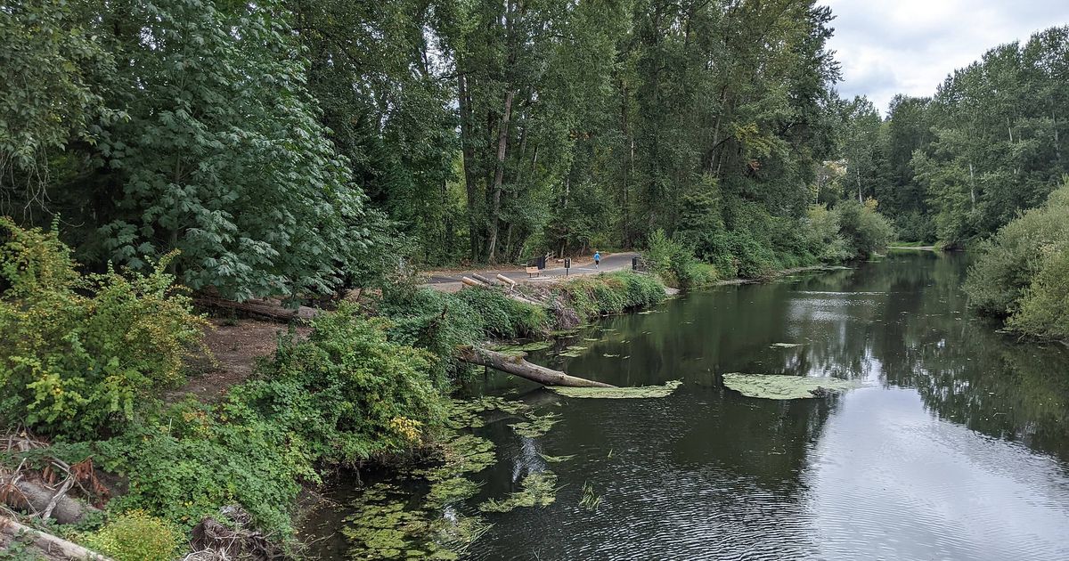 Sammamish River Trail: From Redmond to Bothell, Washington