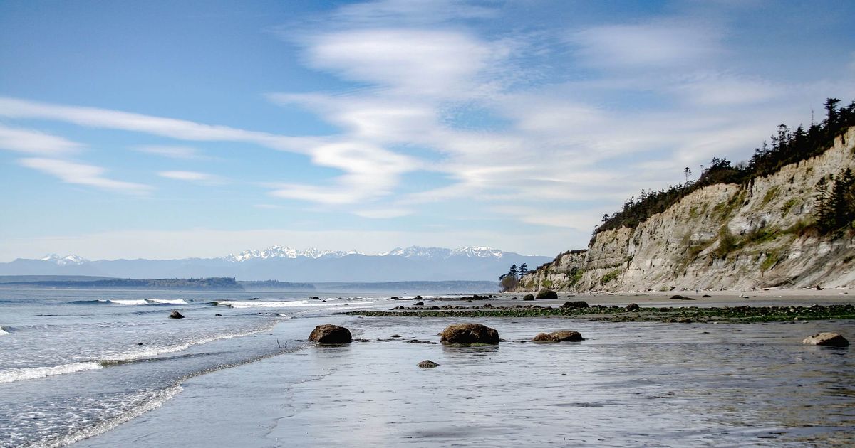 Useless Bay Tidelands Hike | Trail with View of Puget Sound
