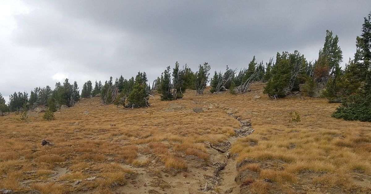 Icicle Ridge Trail #1570 HIking Route Guide- 10Adventures