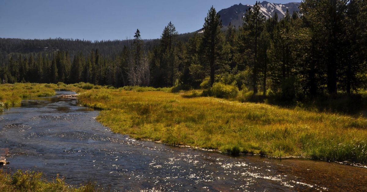 Paradise Meadow Trail - Lassen Volcanic National Park