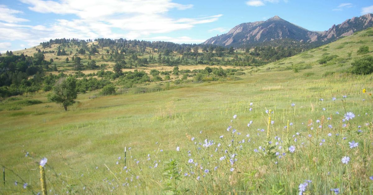 NCAR Ramble Trail | An exciting hike near Boulder, CO