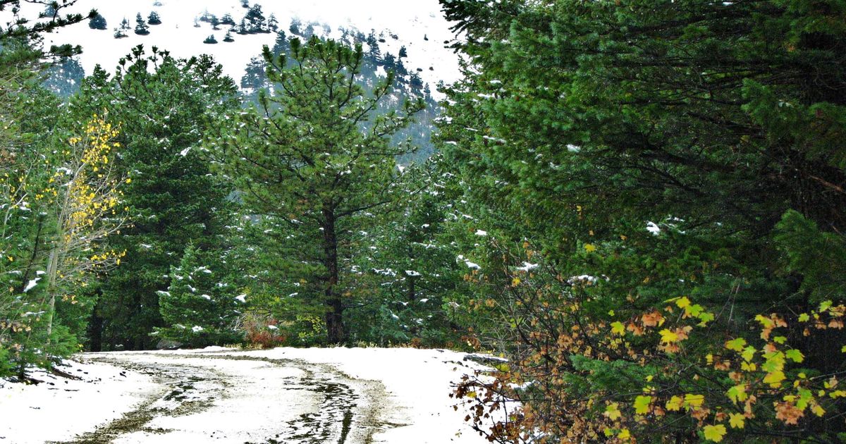 A Guide to the Switzerland Trail, Colorado