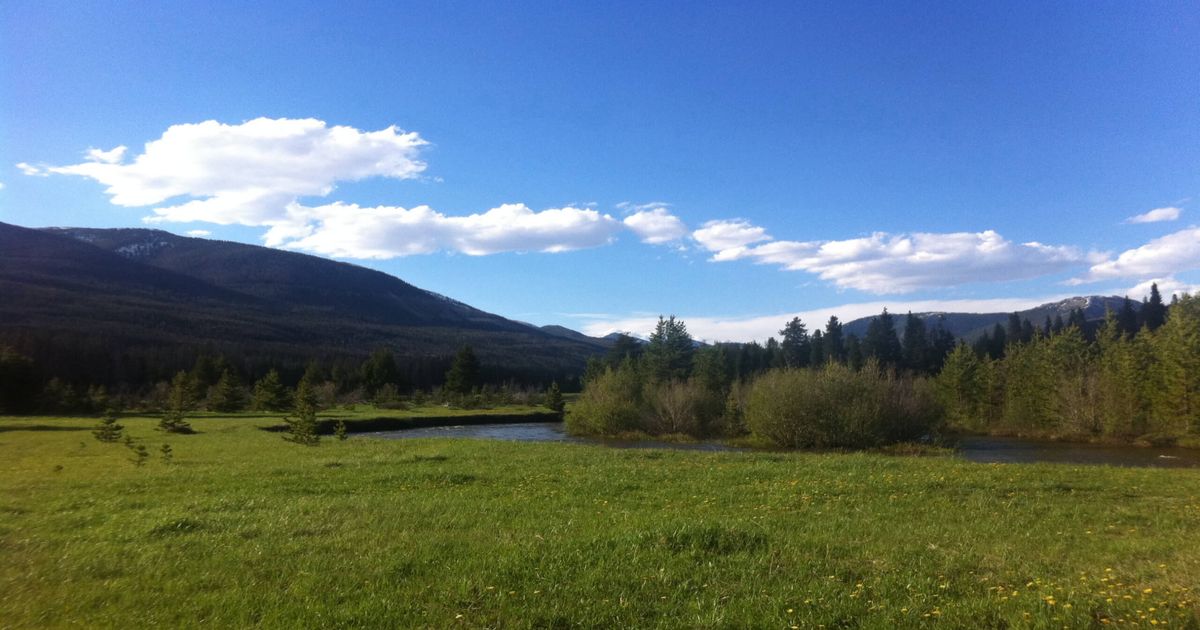 Coyote Trail, Colorado | Golden Gate Canyon State Park