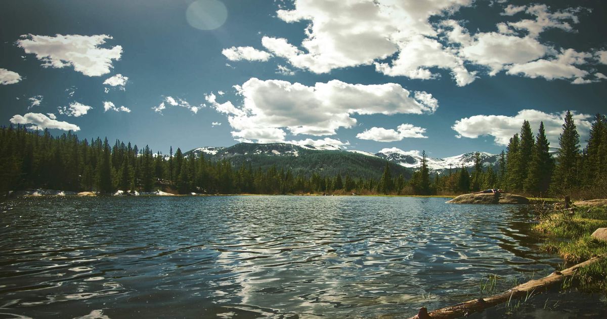 Lost Lake Campground Walk - A Quick Family-Friendly Route