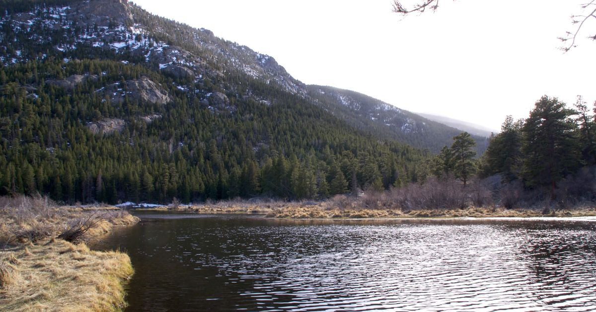 Beaver Ponds Trail, CO | Hiking Guide and Route GPS