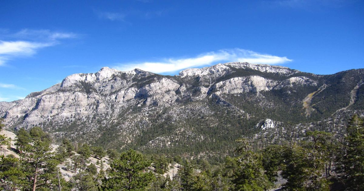 Mummy Mountain Hike | A Summit Adventure in the RMNP