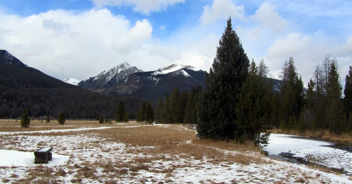 Coyote Hill Loop Trail | A Fun Hike Near Pagosa Springs, CO