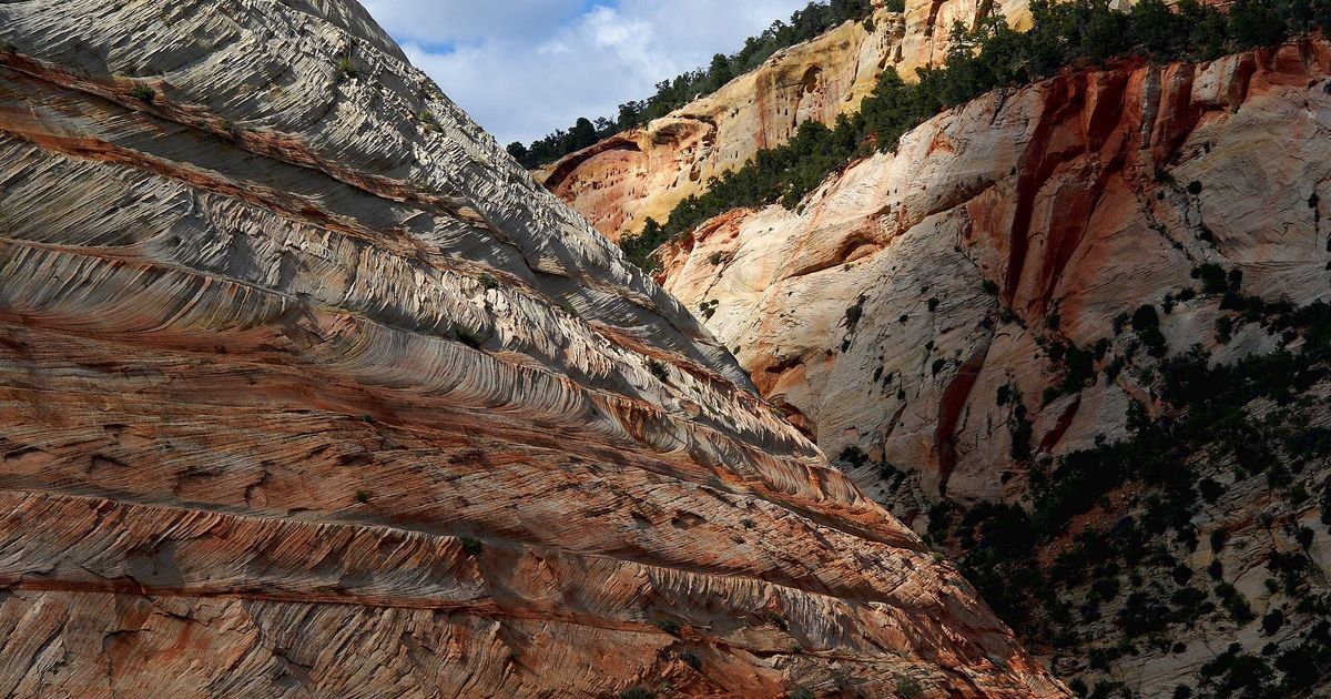 Between Two Mesas: The Checkerboard Canyon Mesa Trail