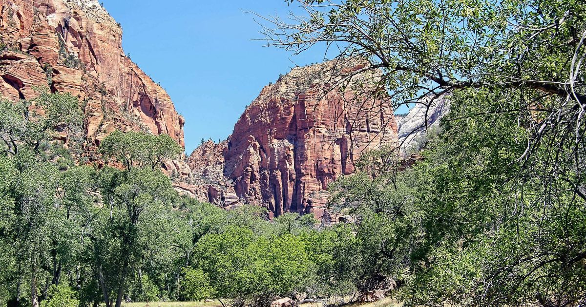The Grotto Zion National Park A Wild Place To Land: Hiking Angels
