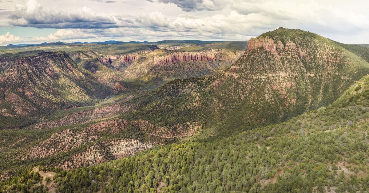 Hiking the Bob Bear Trail (Formerly Fossil Springs Trail)