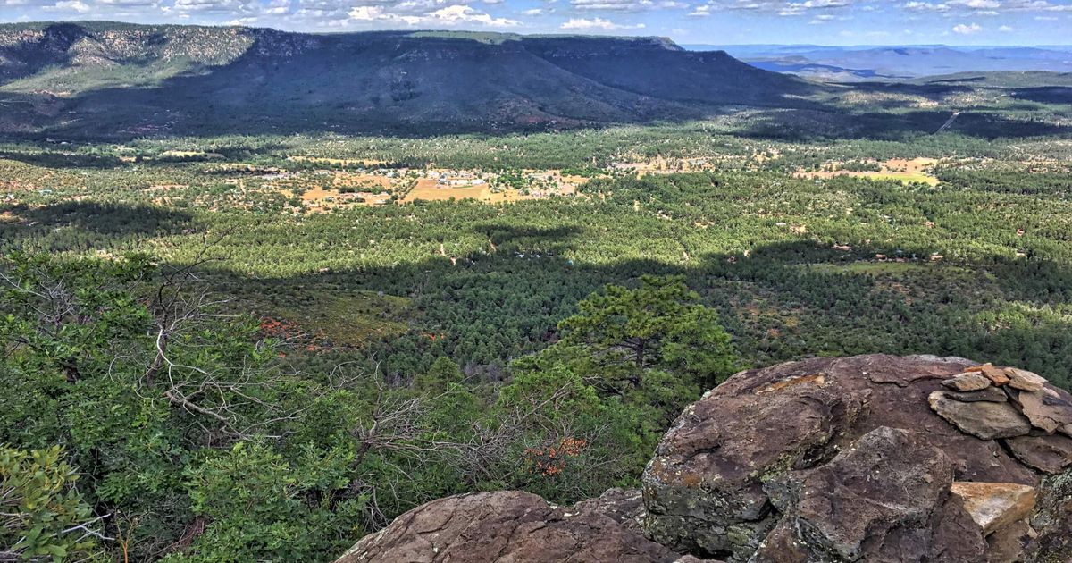 Pine Loop Trail - Scenic, Easy Hike near Pine, Arizona