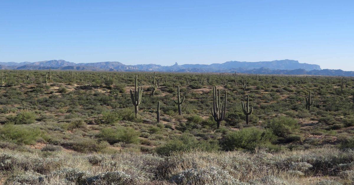 Guide: Hiking Pass Mountain Saddle in Tonto National Forest
