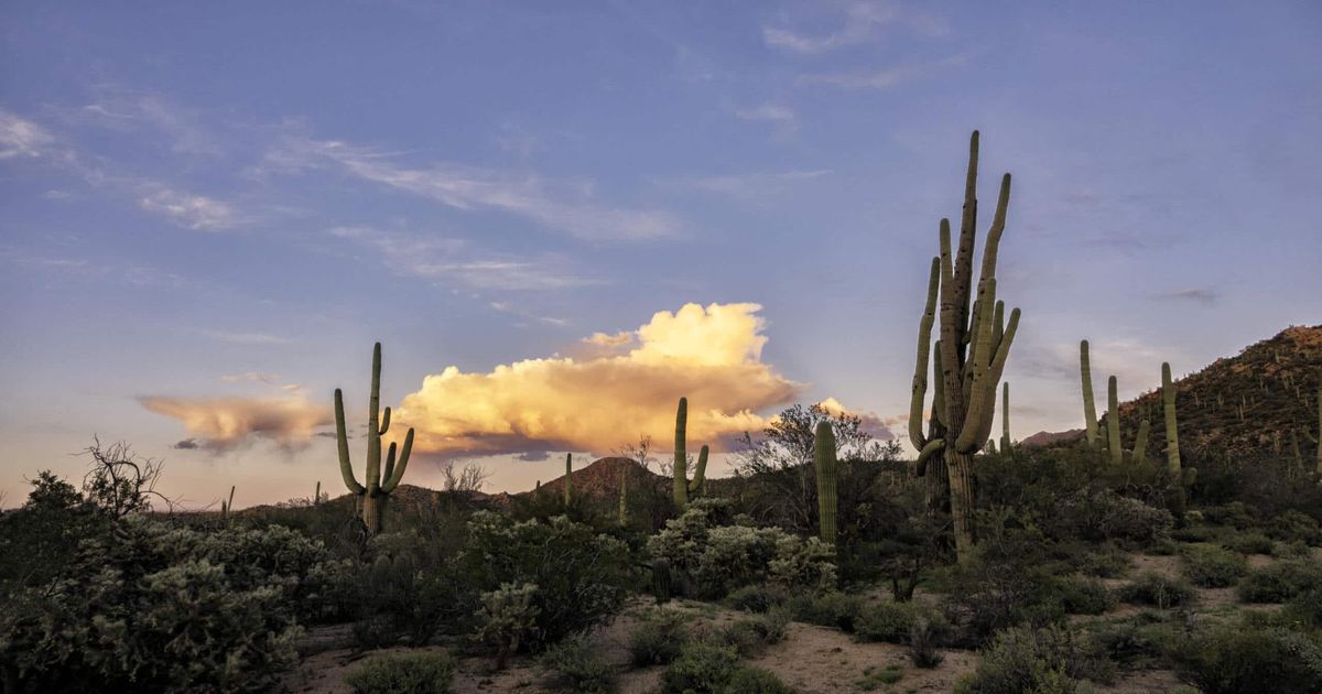 Hiking and Biking the Saguaro, Ridge, and Granite Trail Loop
