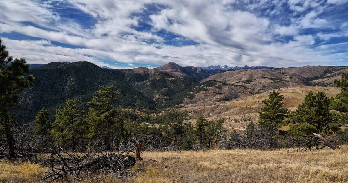 A Guide to the Bald Mountain Hike | Trail Report and GPS