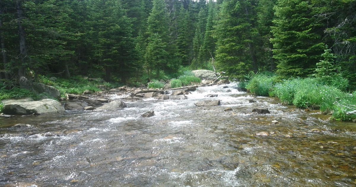The South Saint Vrain Trail | A Stunning Woodland Hike
