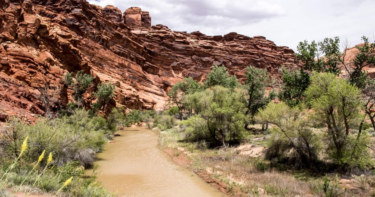 The Lower Courthouse Wash Trail: Adventure in Moab