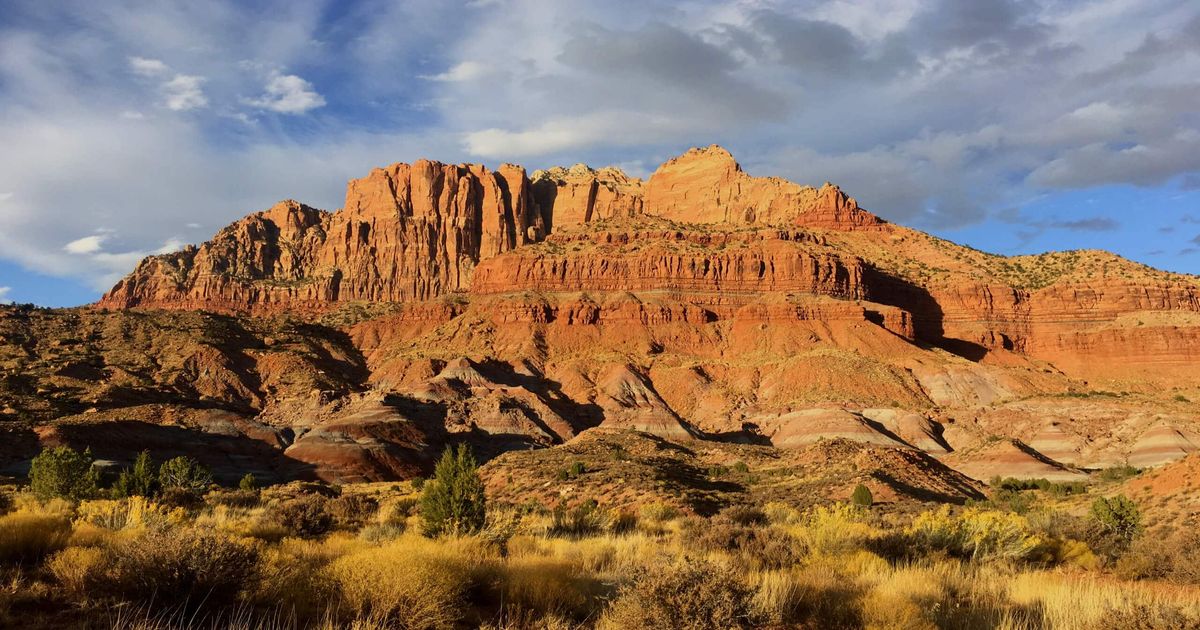 The Chinle Trail: Hike Through a Petrified Forest in Zion