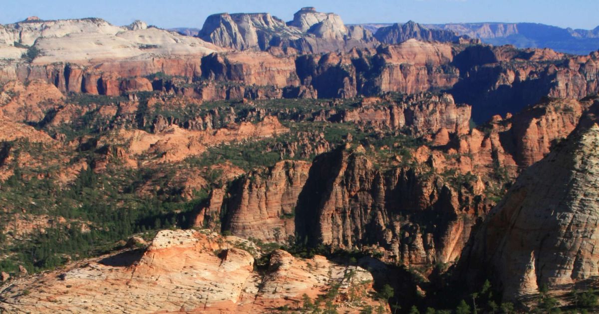 The Wildcat Canyon Trail: A Romp Through Meadows and Forests