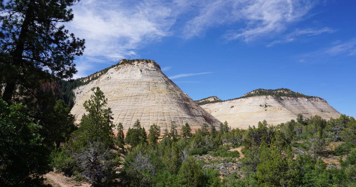 The Zion Ponderosa Trail: Views of Checkerboard Mesa