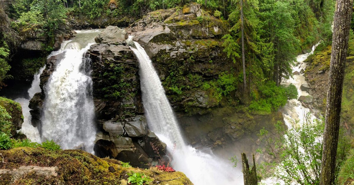 Mount Baker Wilderness: Nooksack Falls Viewpoint Trail