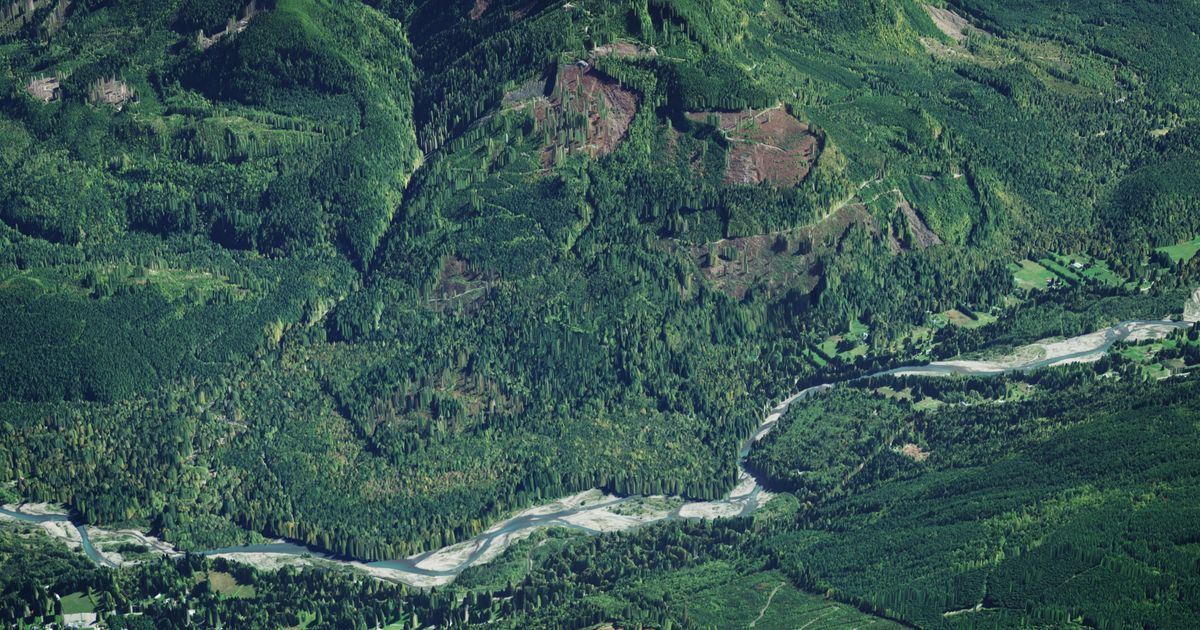 North Fork Nooksack Trail Guide - Hike Along the River