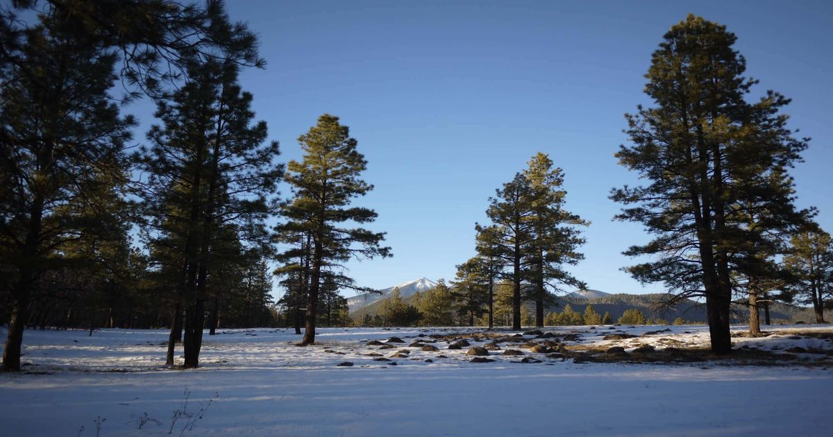 Buffalo Park to Paradise Spring - Hiking in Flagstaff