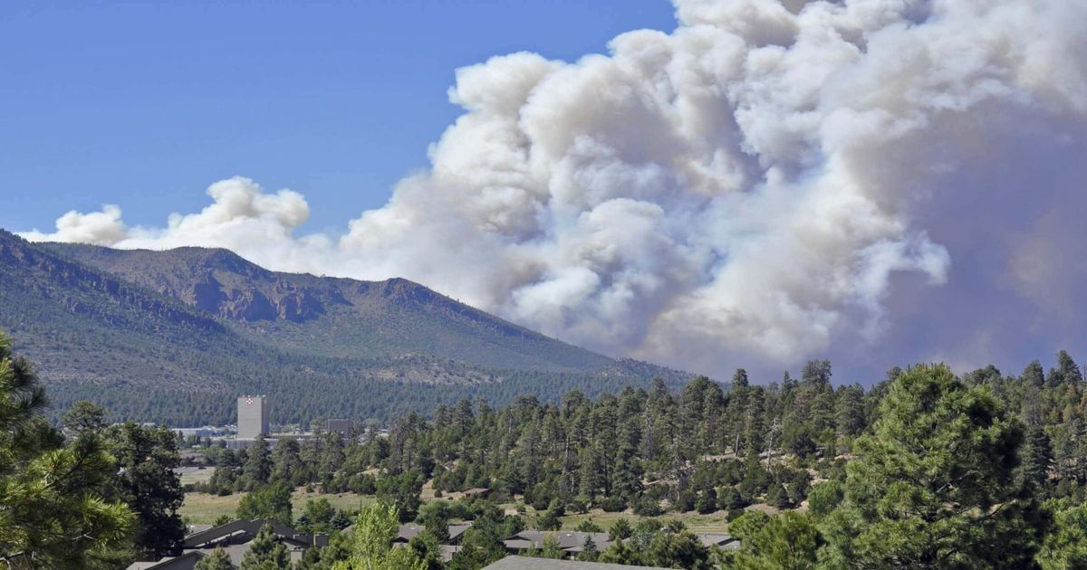 Campbell Mesa Loop | Family & Dog-Friendly Trail, Flagstaff