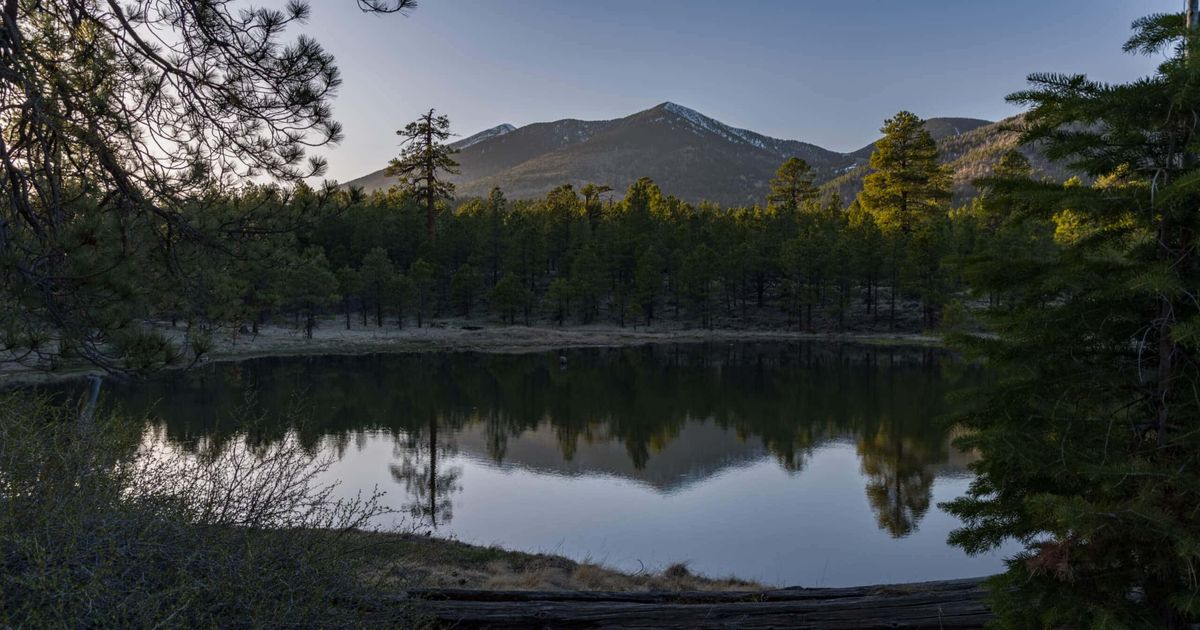 Schultz Pass Loop Guide - Coconino National Forest