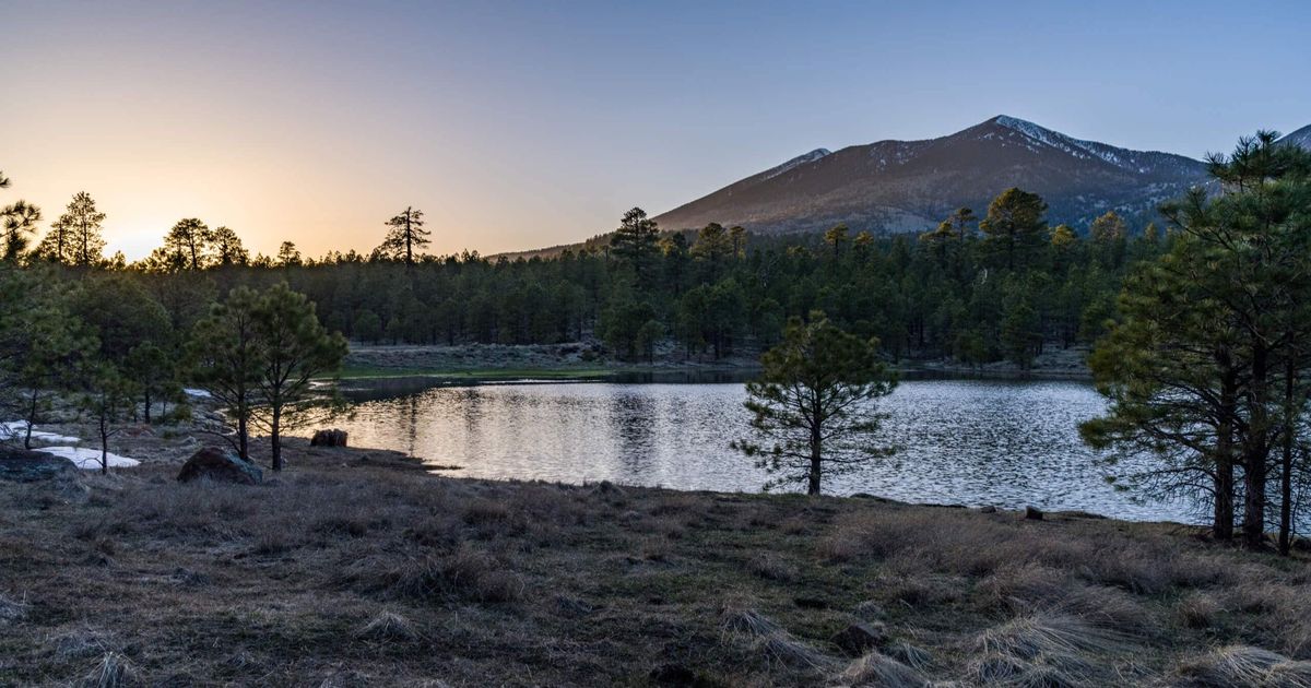 Schultz Pass Road Loop Guide - Coconino National Forest