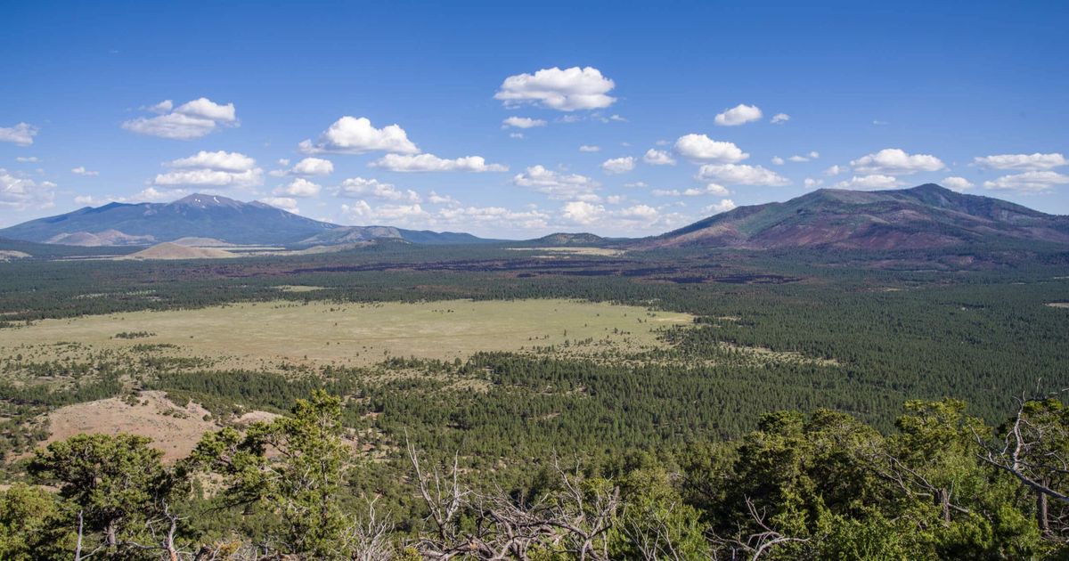Slate Mountain Trail Kachina Peak Wilderness Route Guide