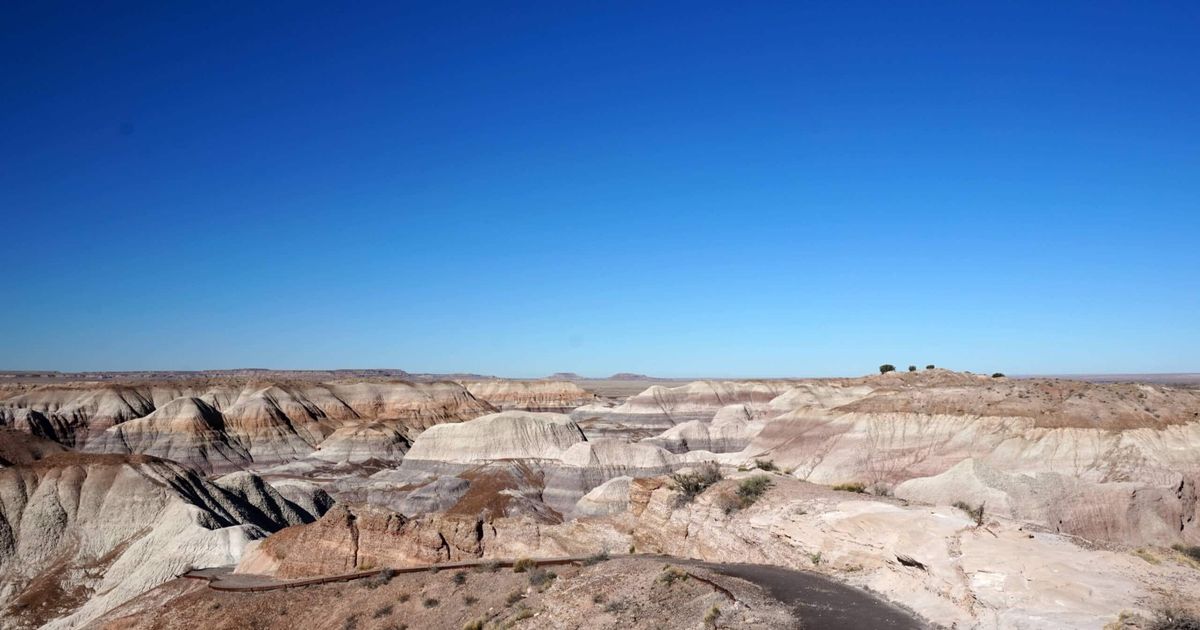 Historic Blue Forest Trail: Petrified Forest National Park