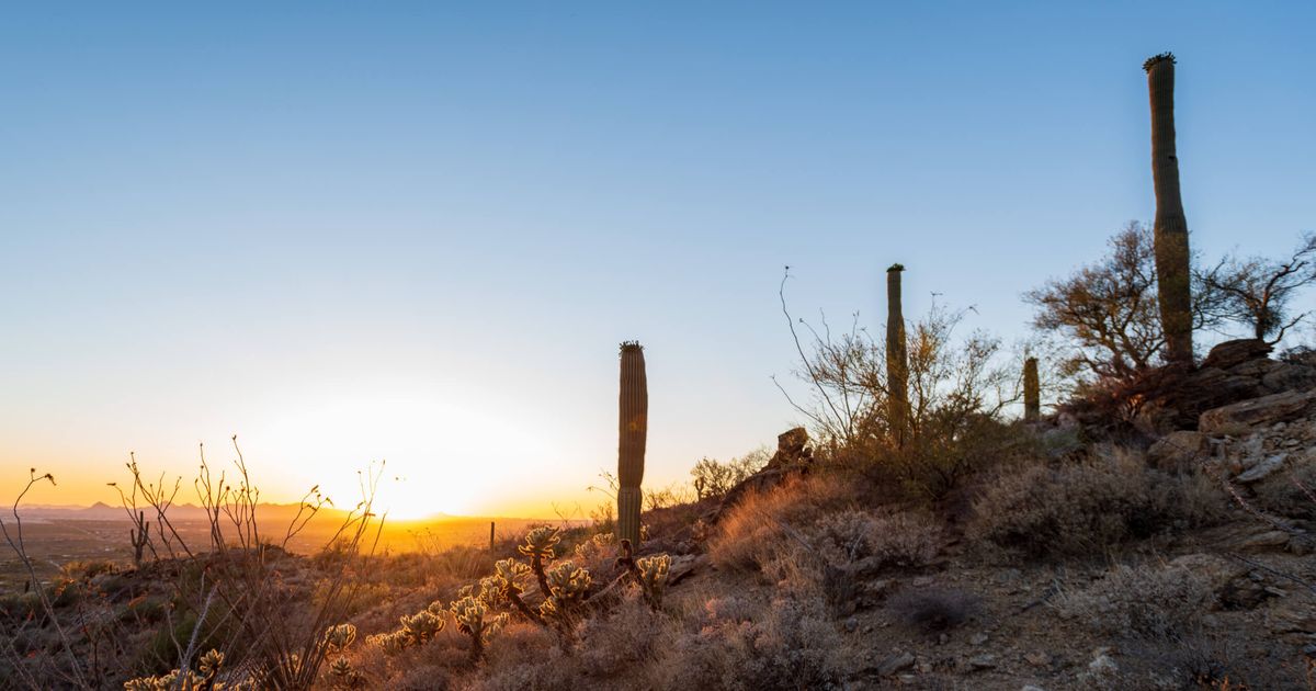 Butterfly and Sunset Trail - Adventurous Hike near Tucson