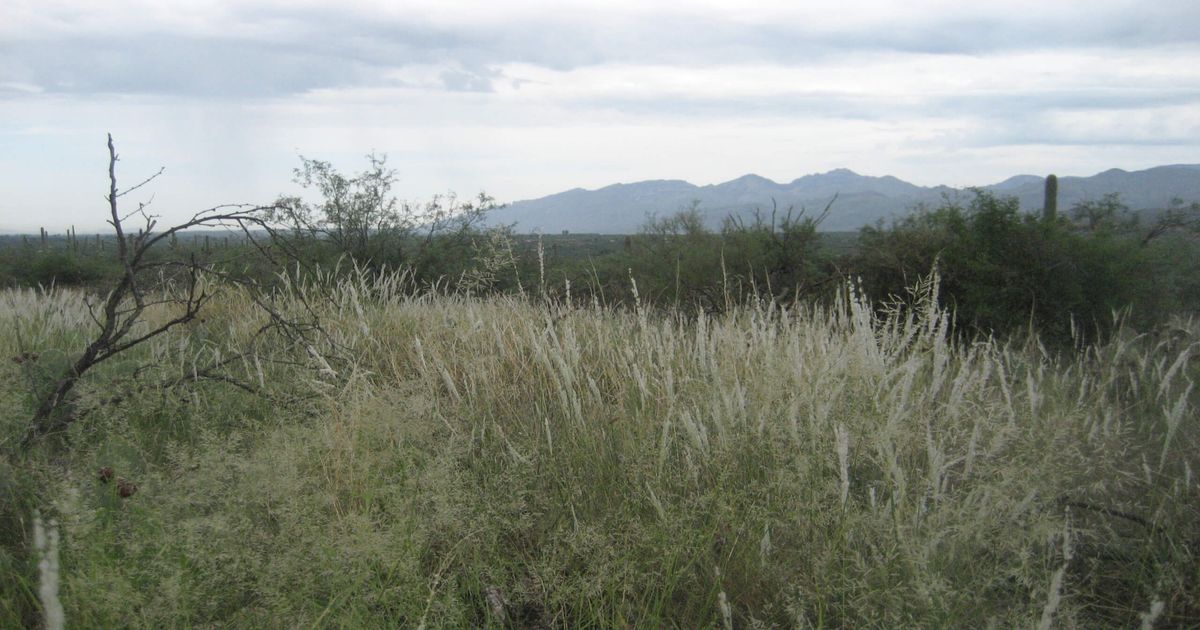 10Adventures Route Guide to Hiking the Douglas Spring Trail