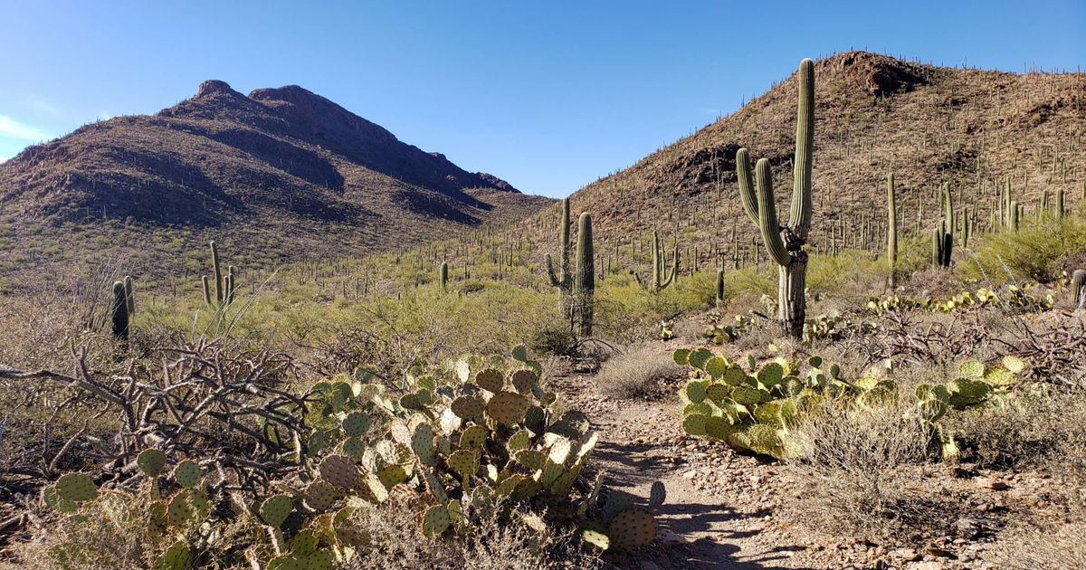 Explorer Trail | See Cat Mountain in Tucson, Arizona