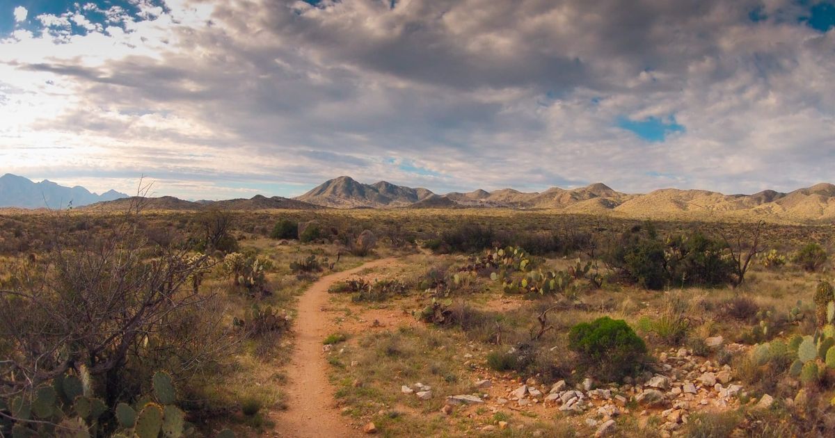 Hiking the Scenic & Easy Honeybee Canyon South Trail, Tucson