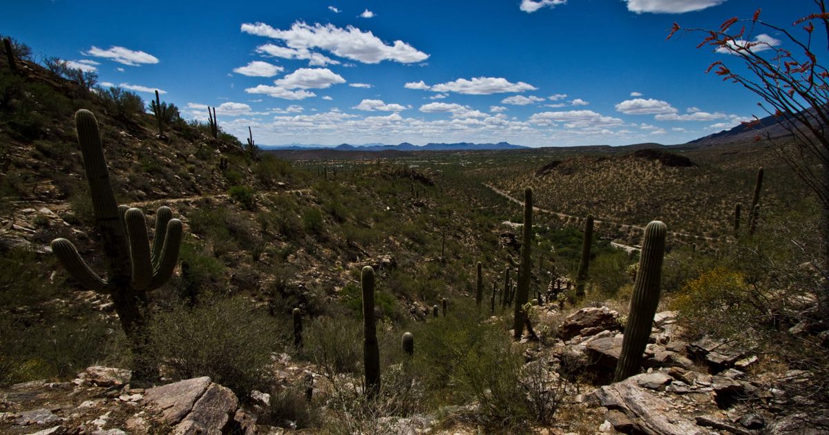 Hiking to Hutch's Pool in the Pusch Ridge Wilderness | 10Adventures