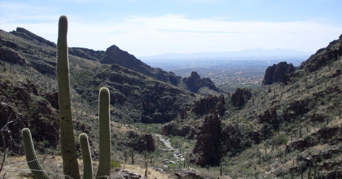 Maiden Pools Hike, Tucson | Canyon Views and Swimming Pools