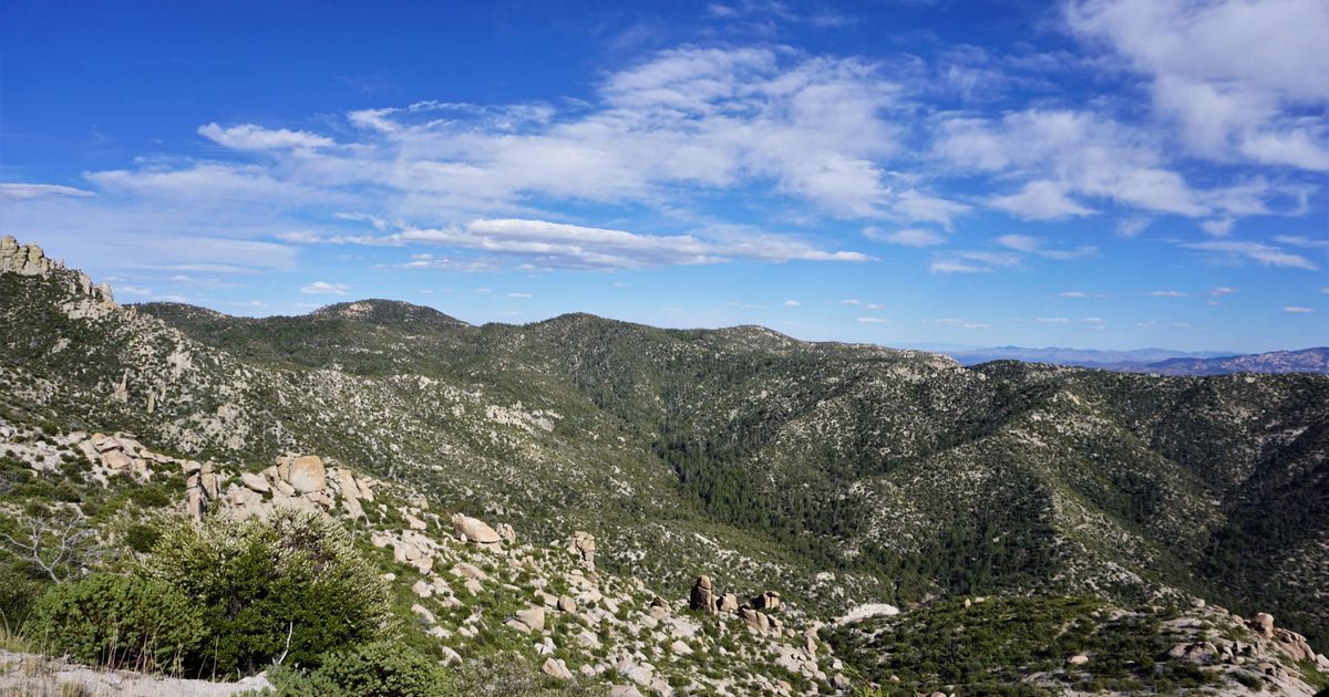 Mint Spring Trail | Views of Summerhaven on a 3.4-Mile Trail