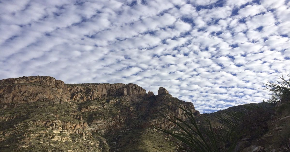 Mount Kimball via Finger Rock Trail | Santa Catalinas