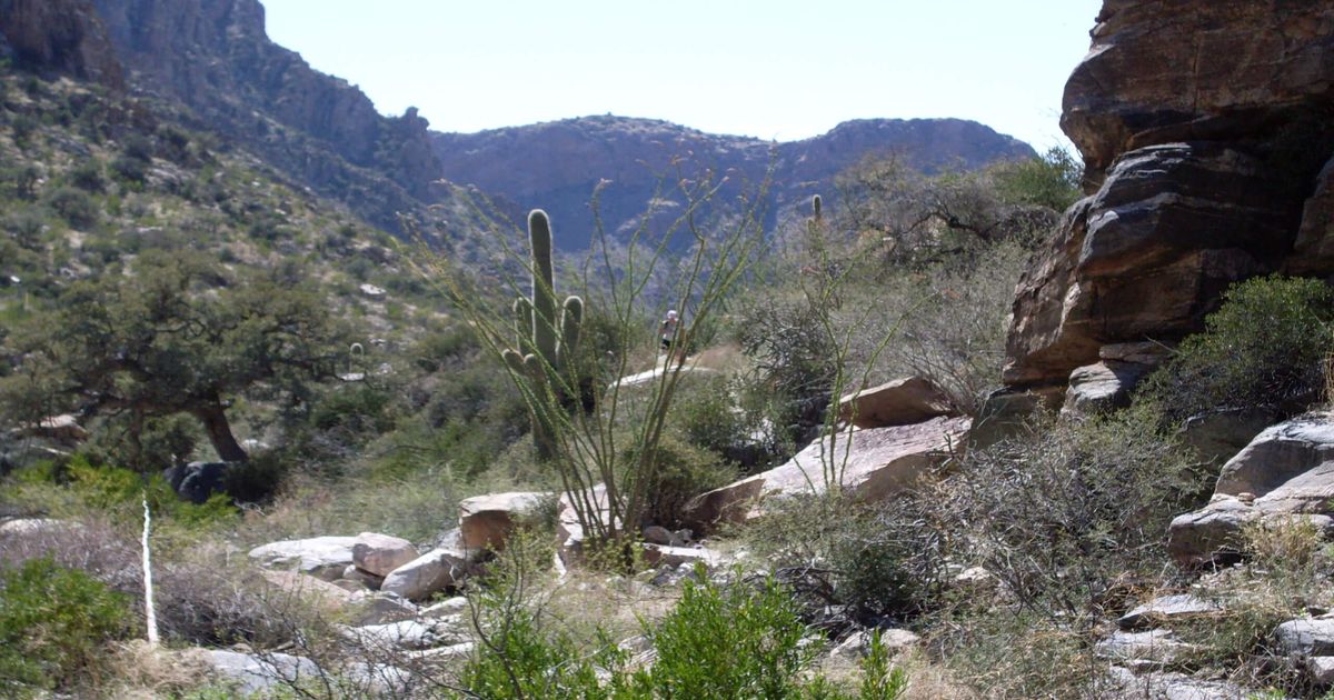 Hiking to the Summit of Mount Kimball via Pima Canyon Trail