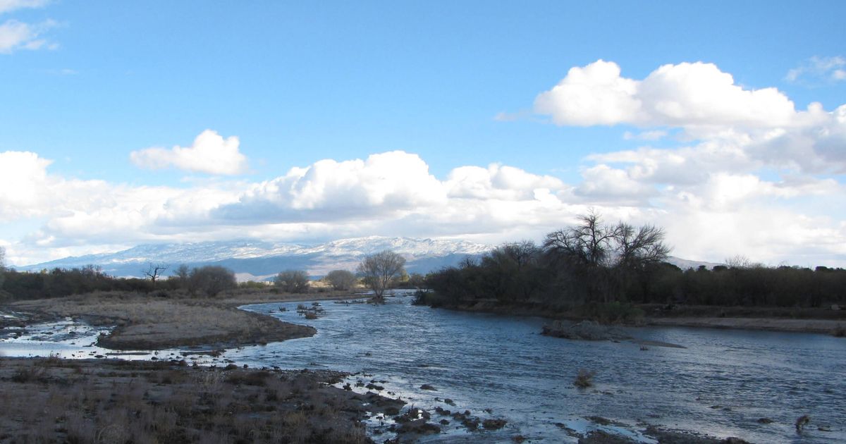 Tucson Nature Walk: Rillito River Path, N Swan to N Dodge