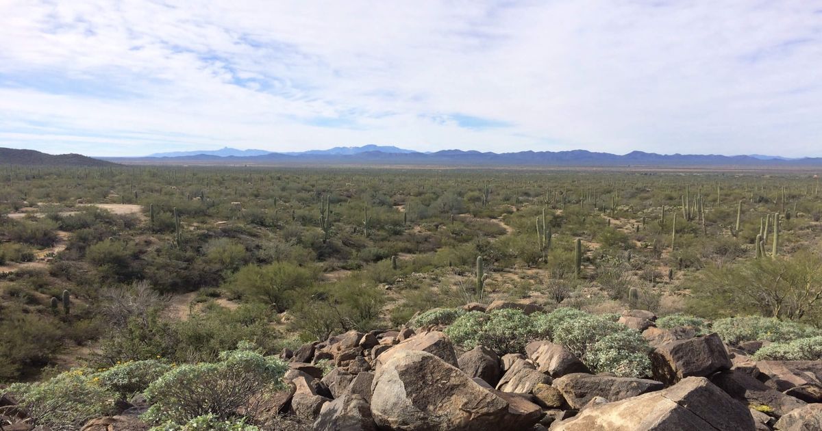 The Short and Sweet Signal Hill Trail near Tucson, Arizona