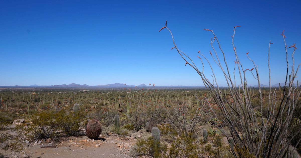 Hiking Guide: The Valley View Overlook Trail near Tucson